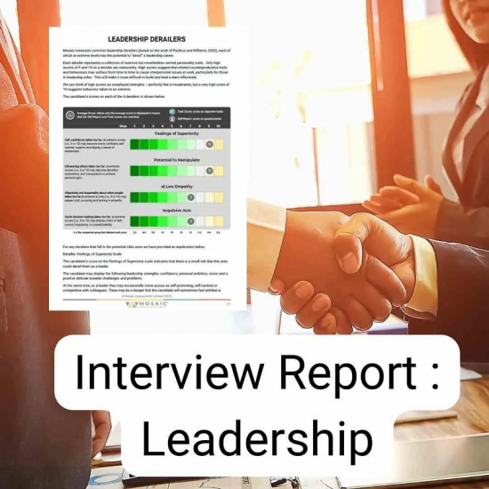 Mosaic Interview Report: Leadership – Optimal